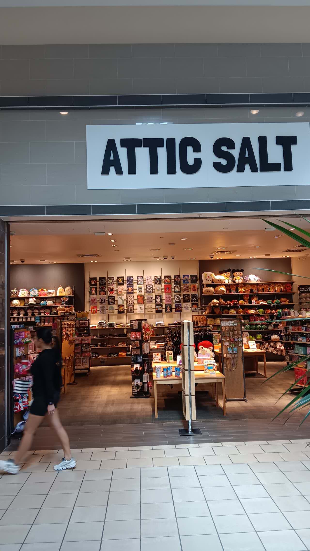 attic Salt 303 Memorial City space202,houston,TX,US,77024